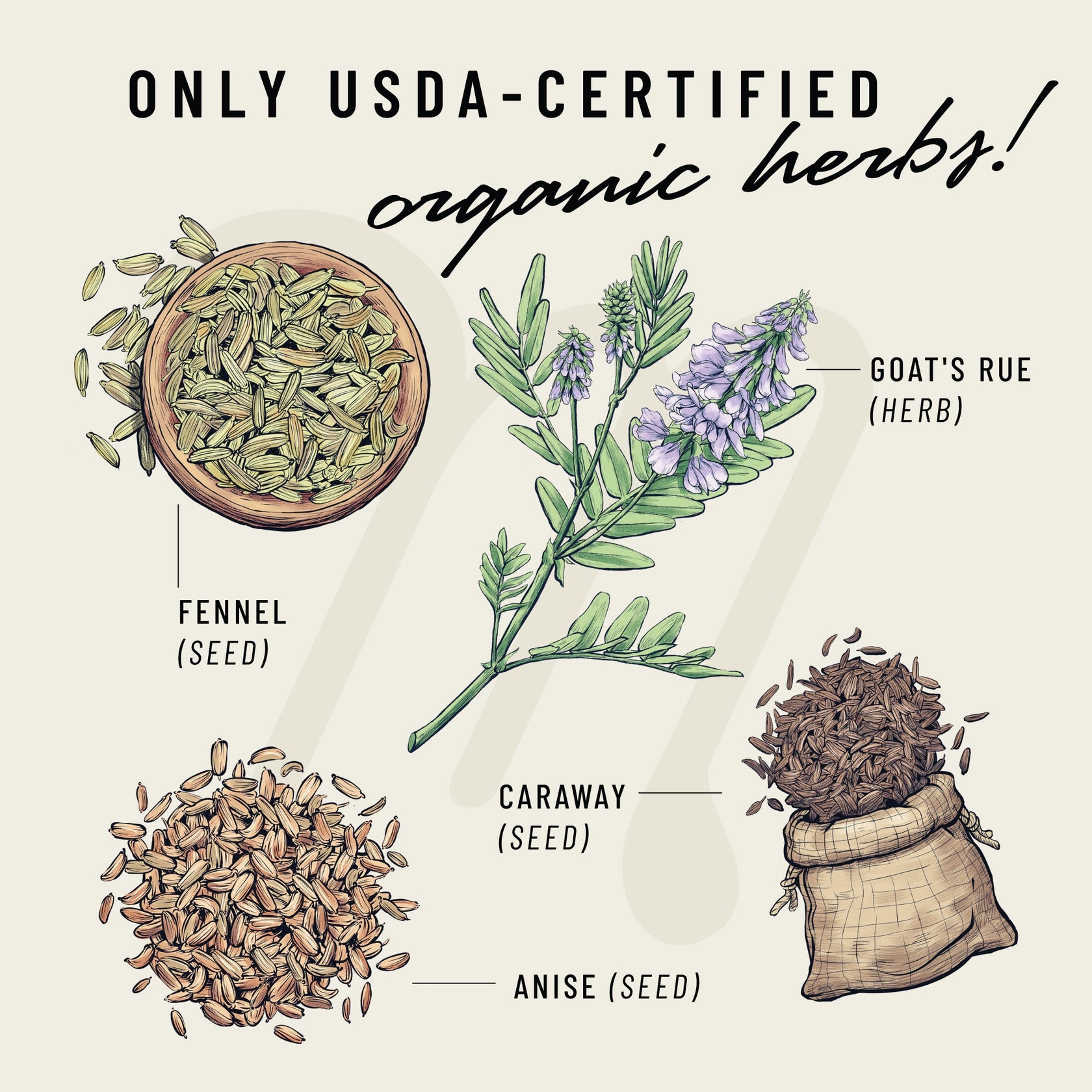 Lechita | Breast Milk Supplement for Milk Production & Digestive ...