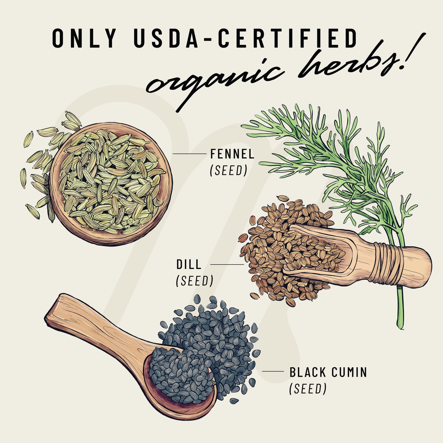 Pump Princess | Breast Milk Supplement to Increase Milk Supply ...